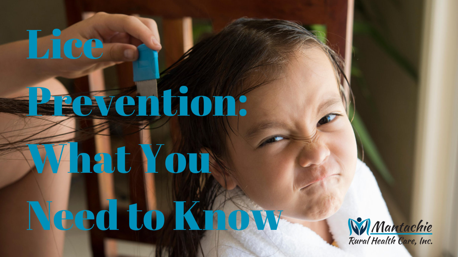 Head Lice Prevention: What Works and What Doesn't - Mantachie Rural ...